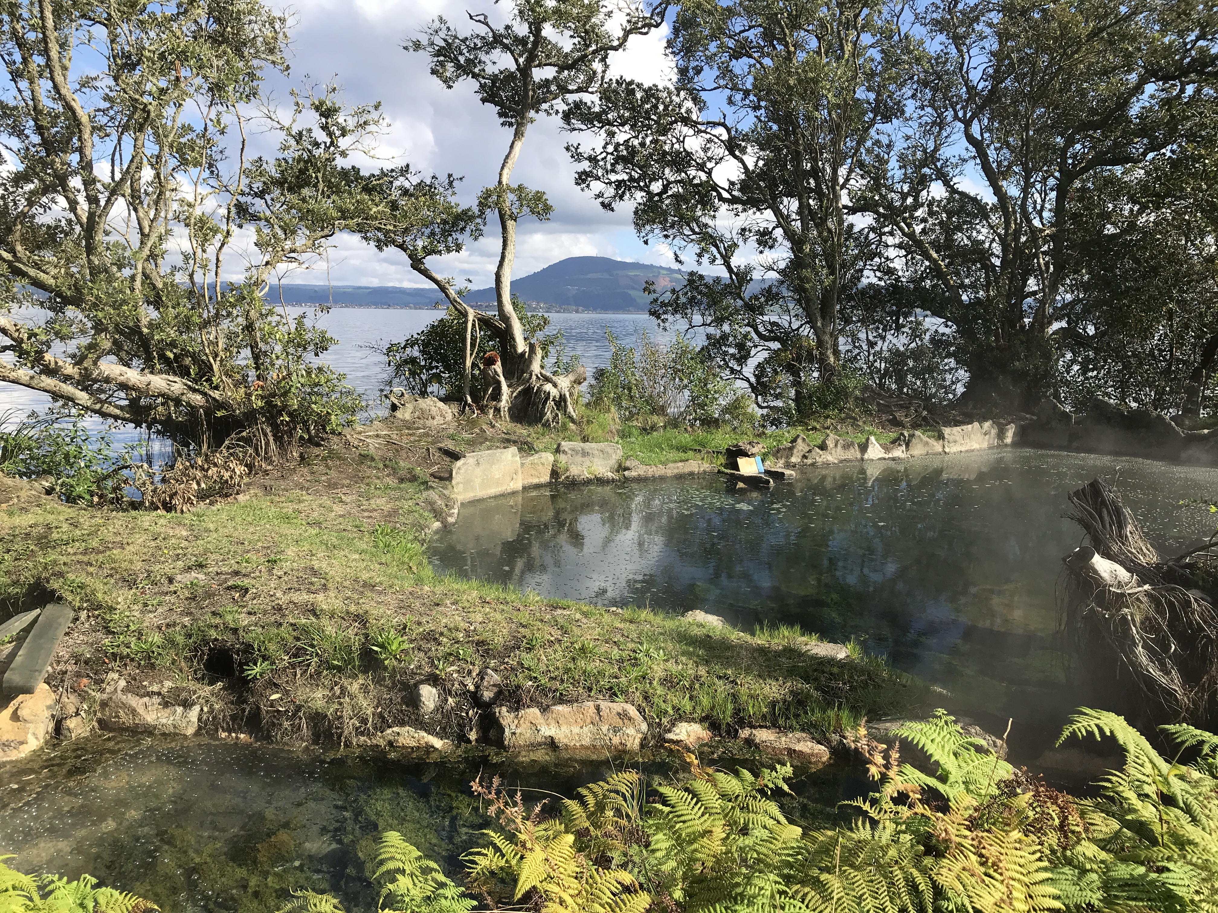 About Us | Mokoia Island | Jet Boating & Parasailing | Rotorua Attractions