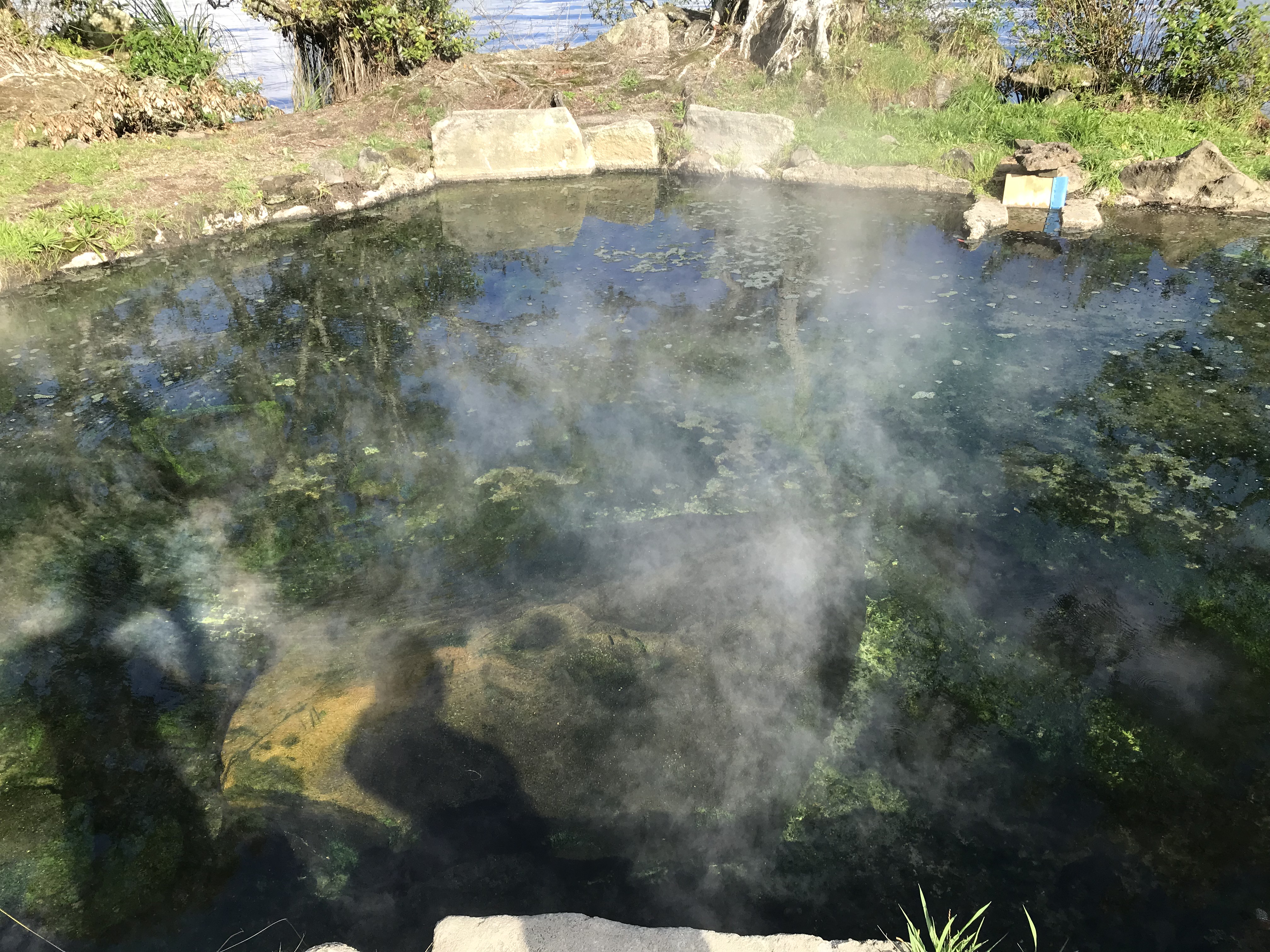 About Us | Mokoia Island | Jet Boating & Parasailing | Rotorua Attractions