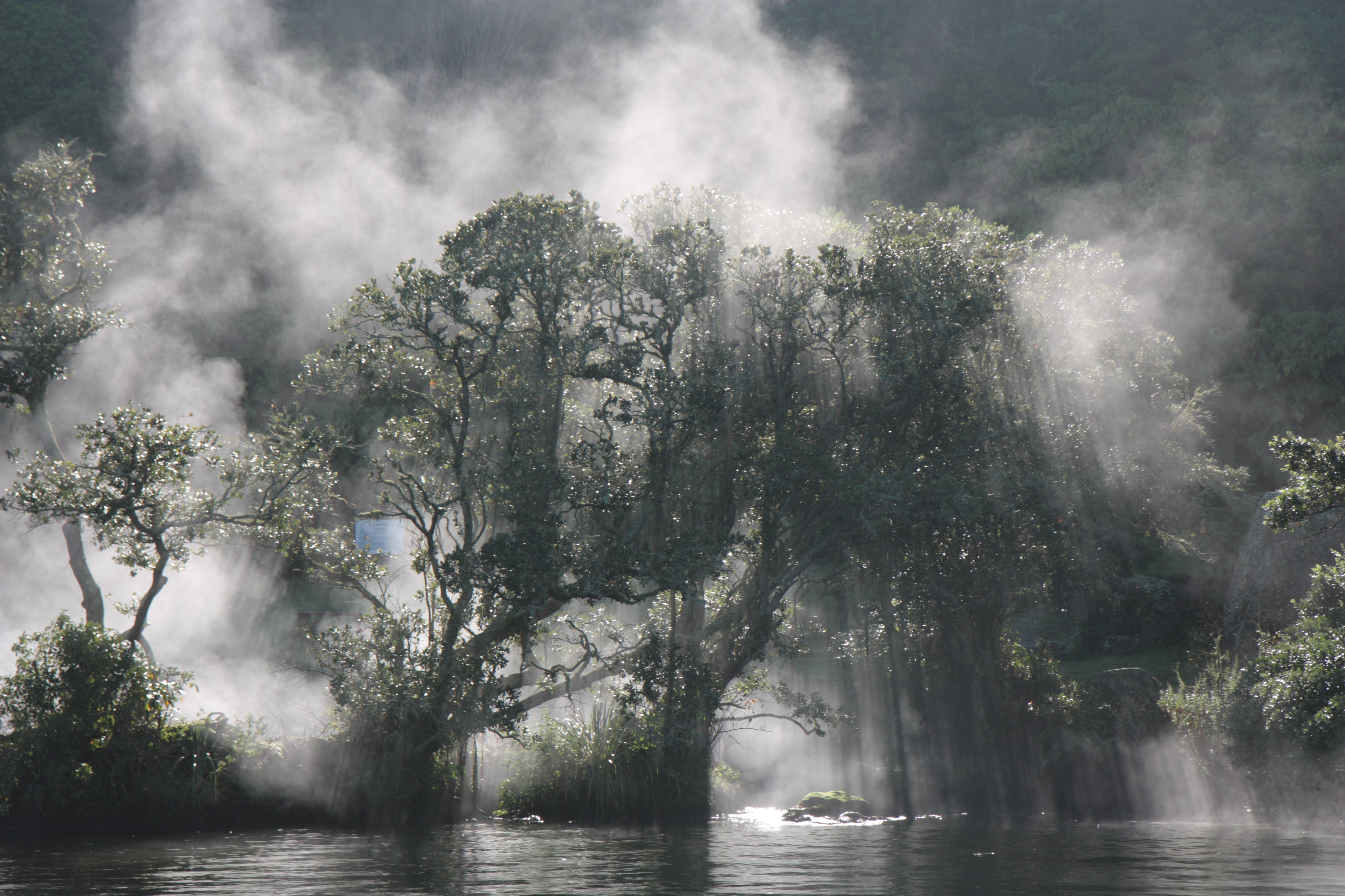 About Us | Mokoia Island | Jet Boating & Parasailing | Rotorua Attractions