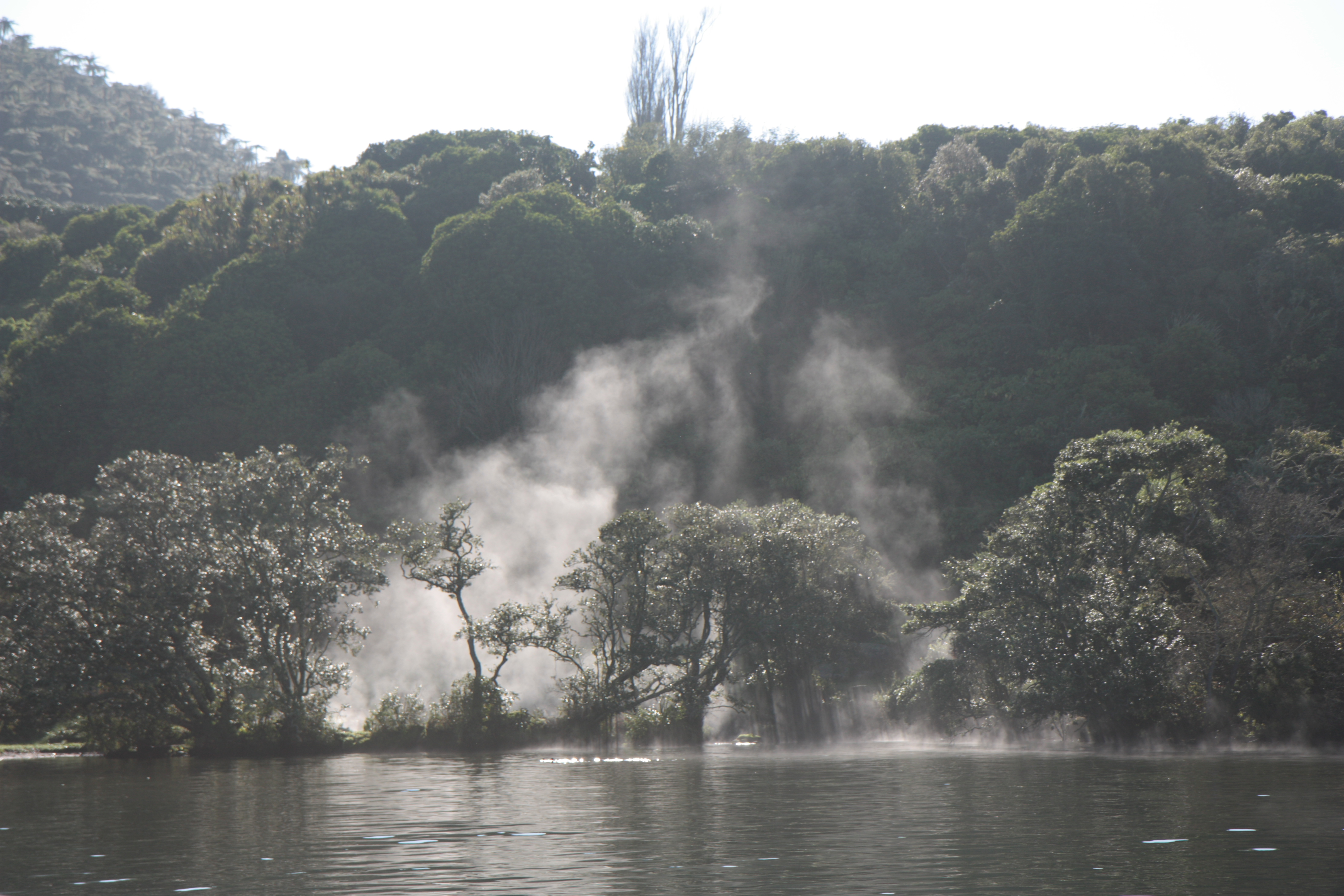 About Us | Mokoia Island | Jet Boating & Parasailing | Rotorua Attractions