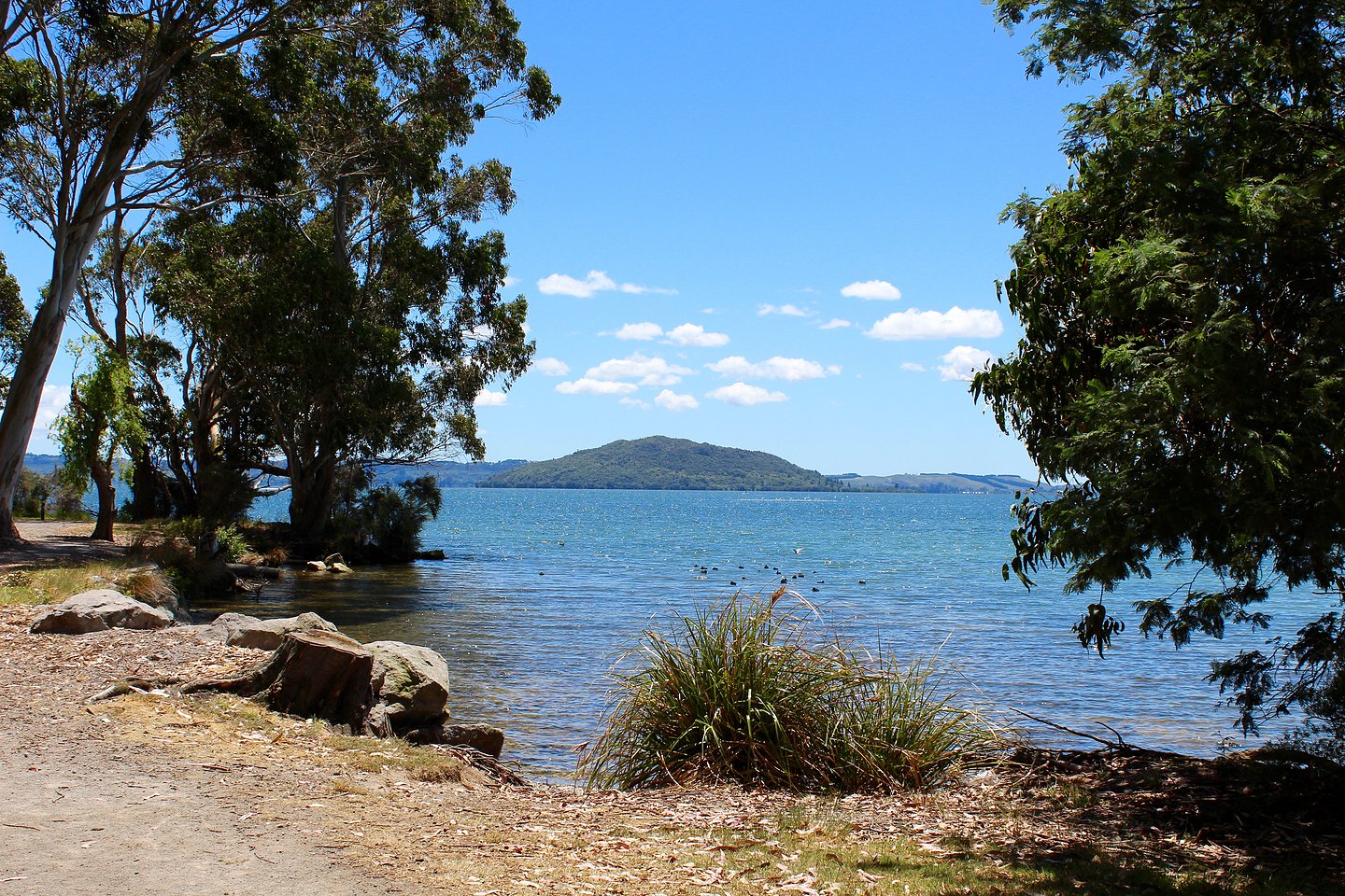 About Us | Mokoia Island | Jet Boating & Parasailing | Rotorua Attractions