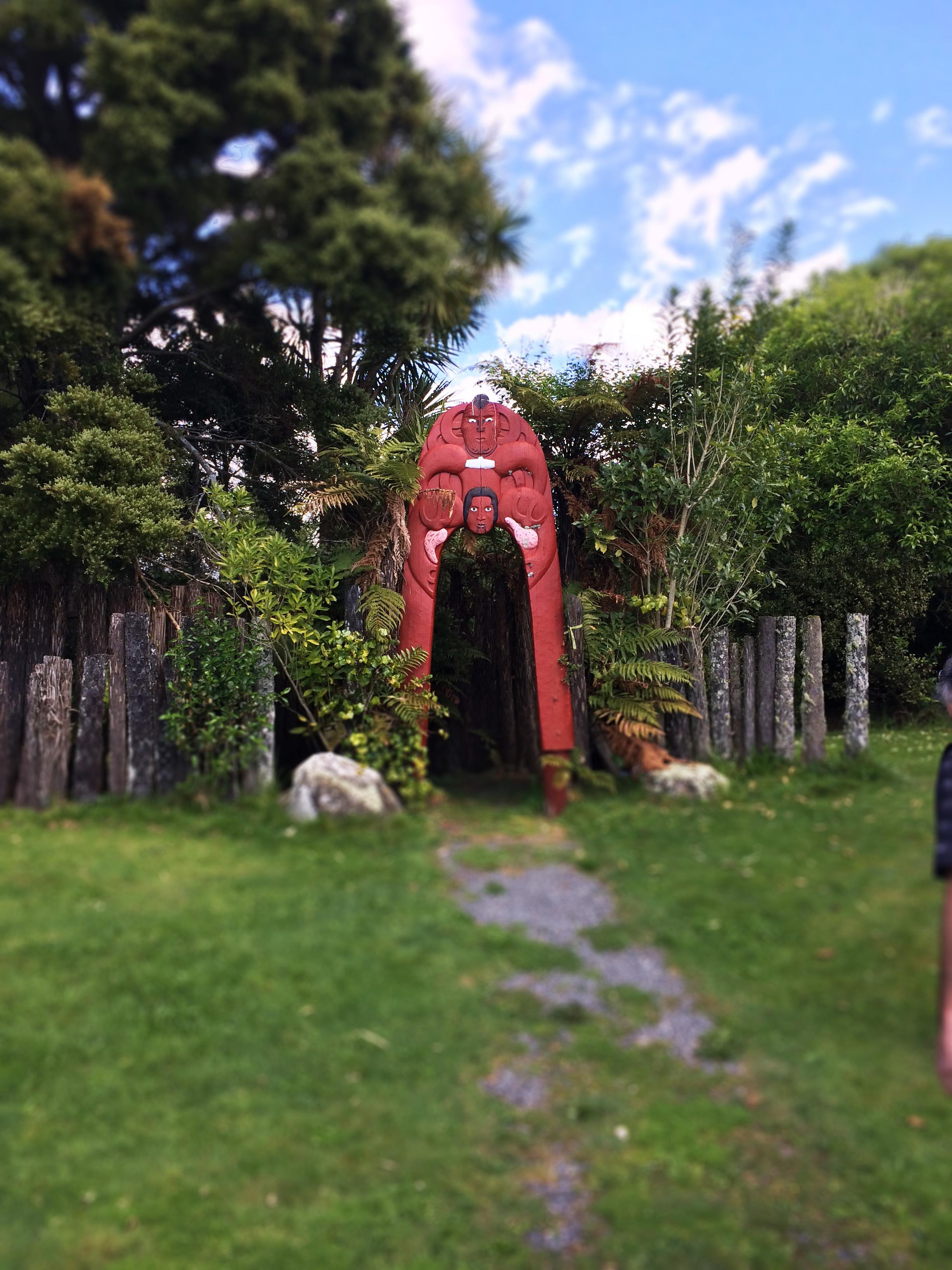 About Us | Mokoia Island | Jet Boating & Parasailing | Rotorua Attractions