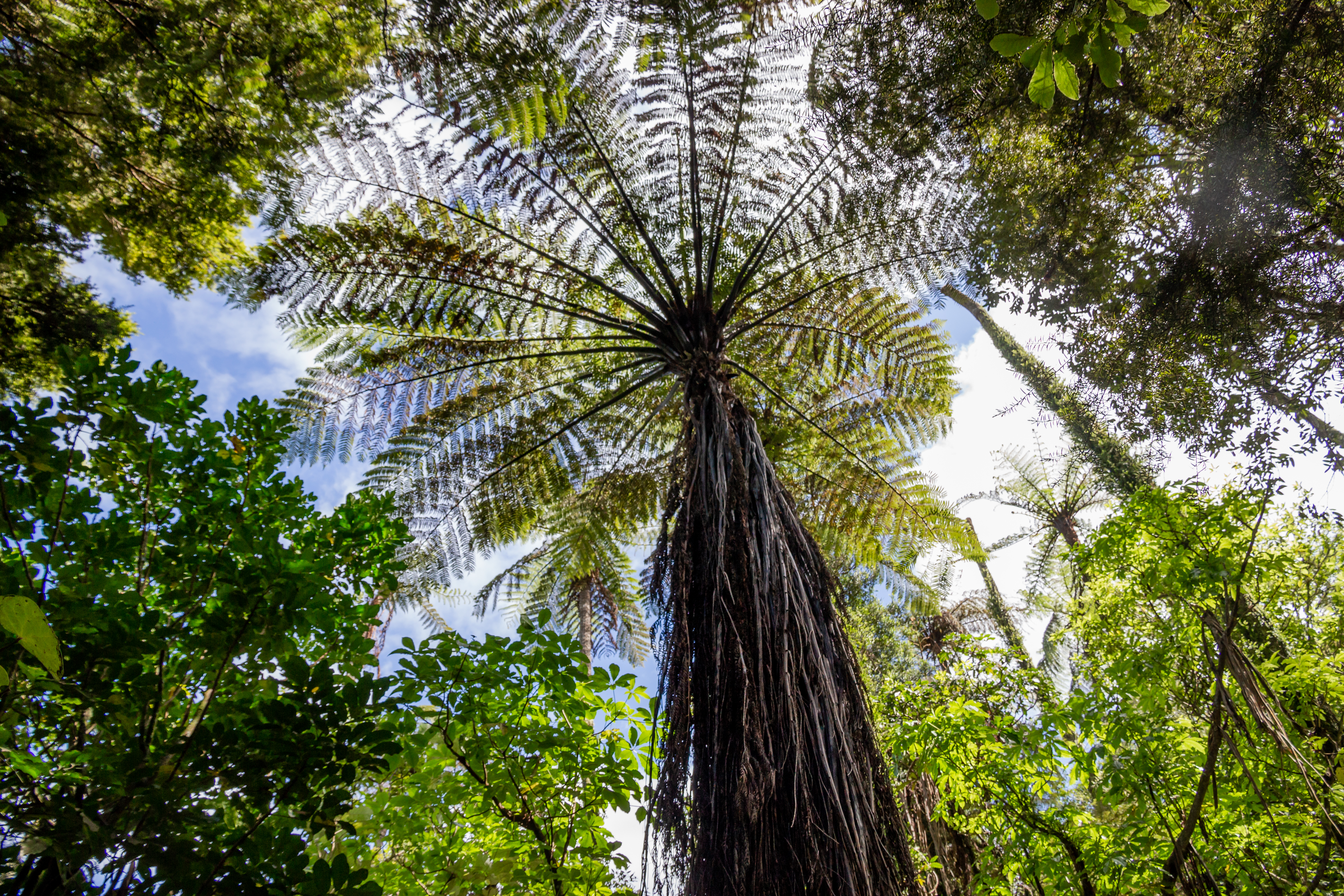 Jet Boating on Lake Rotorua I Lake Rotoiti Hot Pools Tours